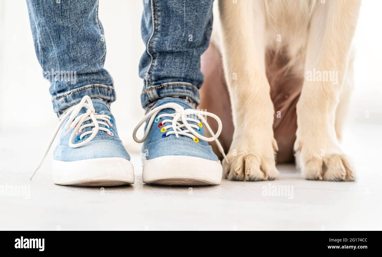Paws and legs Stock Photo - Alamy
