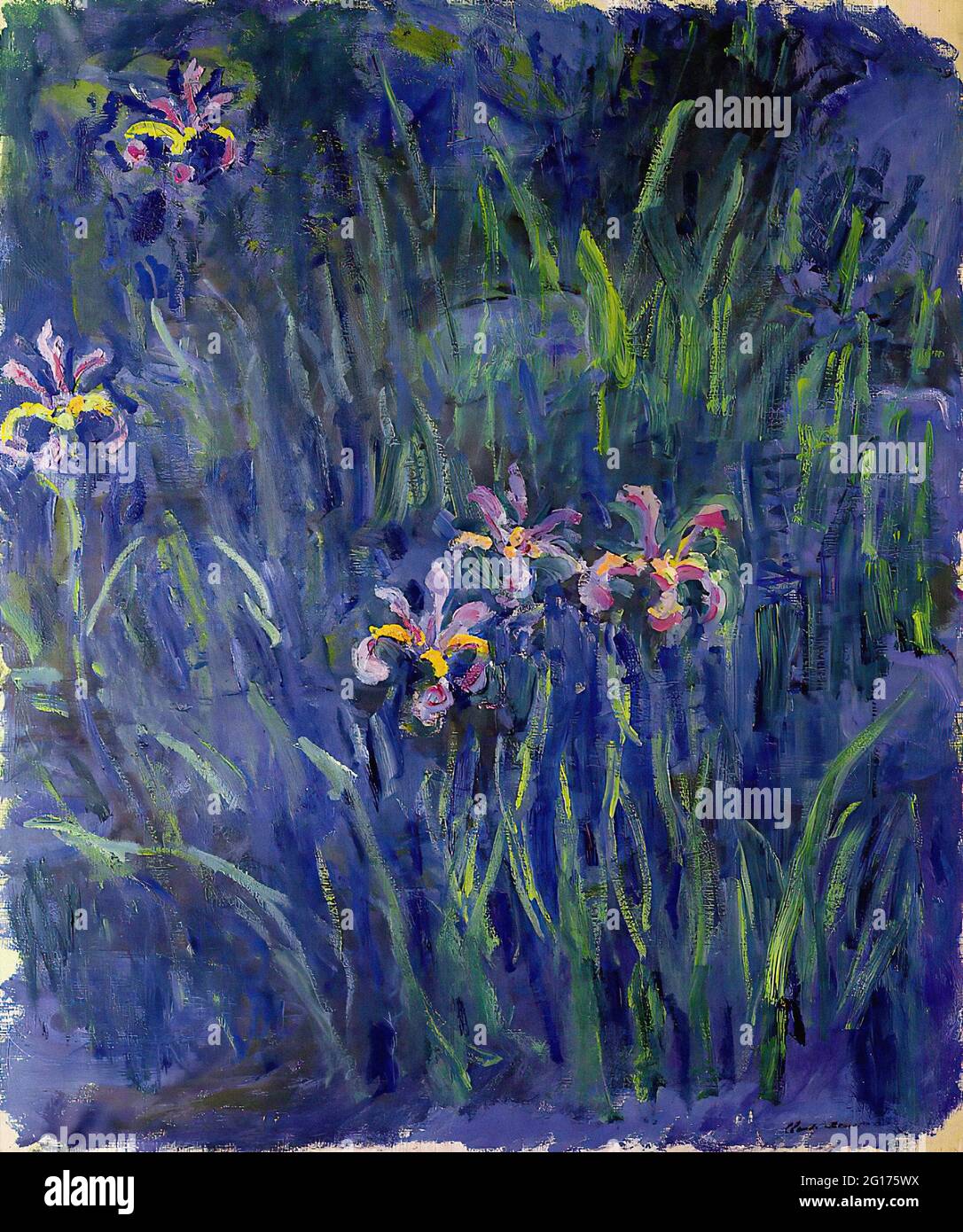Claude Monet - Irises 2 1917 Stock Photo - Alamy