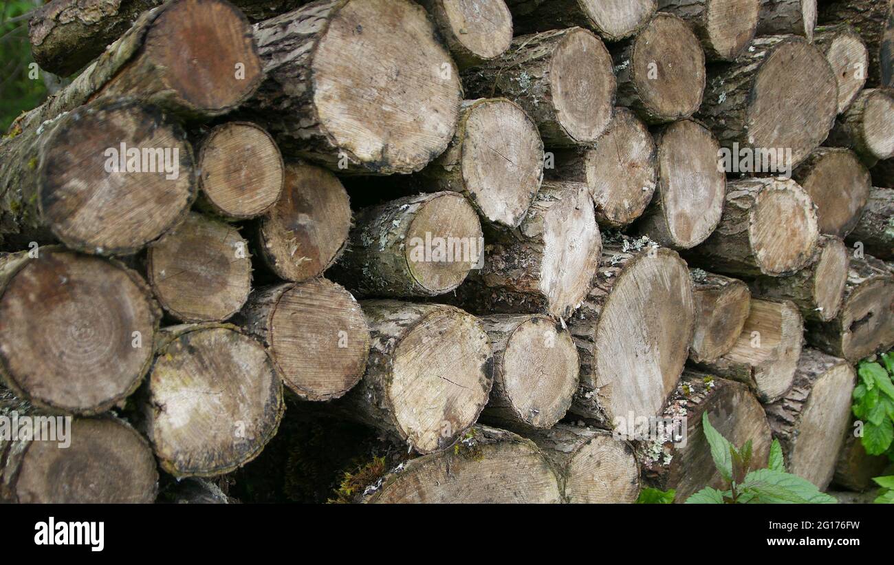 Stacked wood timber construction background hi-res stock photography ...