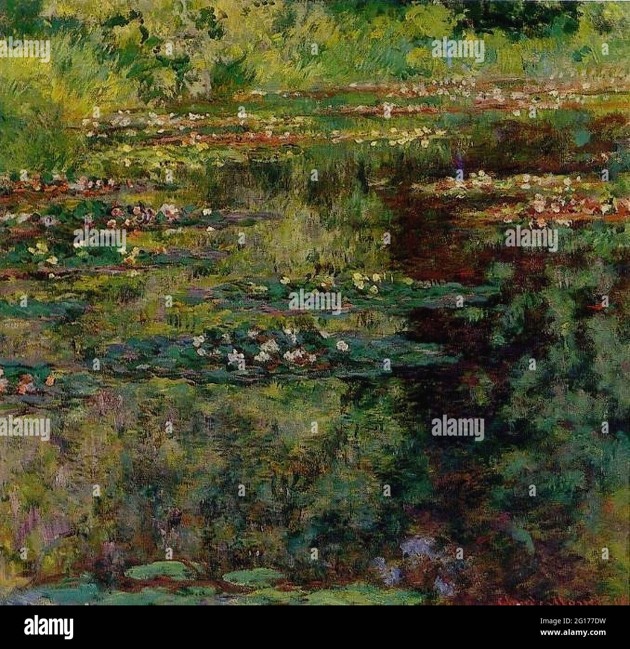 Lily master hi-res stock photography and images - Alamy