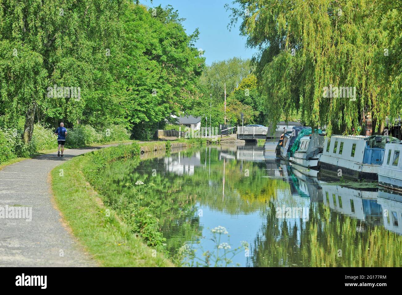 Summer walk down the canal Stock Photo - Alamy