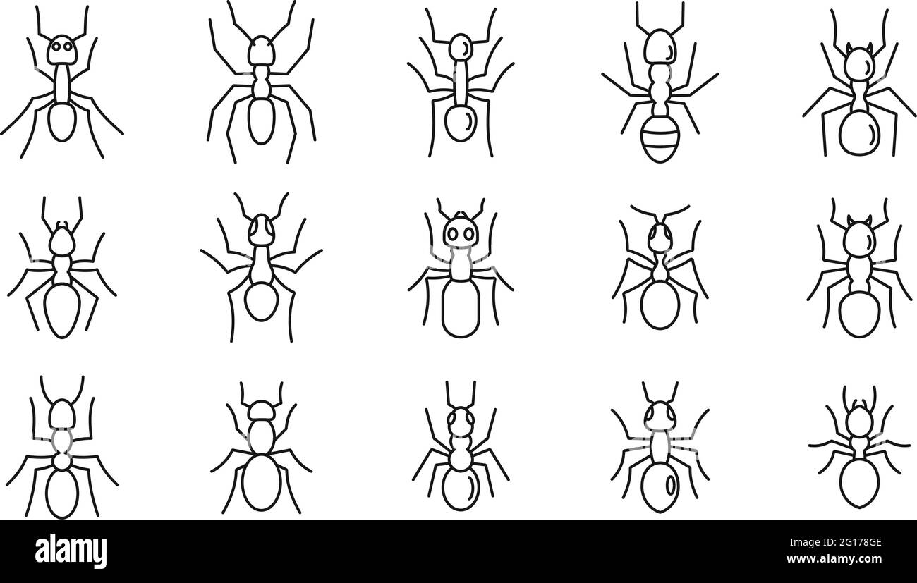 Wild ant icons set, outline style Stock Vector Image & Art - Alamy
