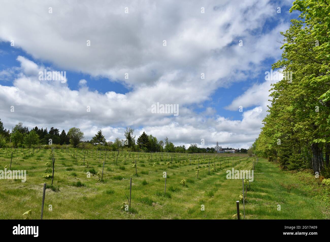 Campo quebec hi-res stock photography and images - Alamy
