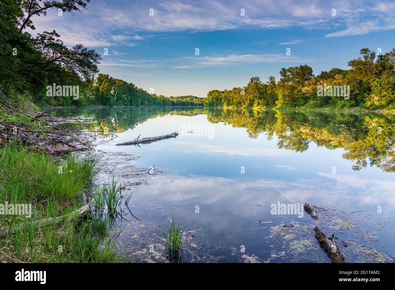 Wien, Vienna: oxbow lake Donau-Oder-Kanal in Lobau, part of ...