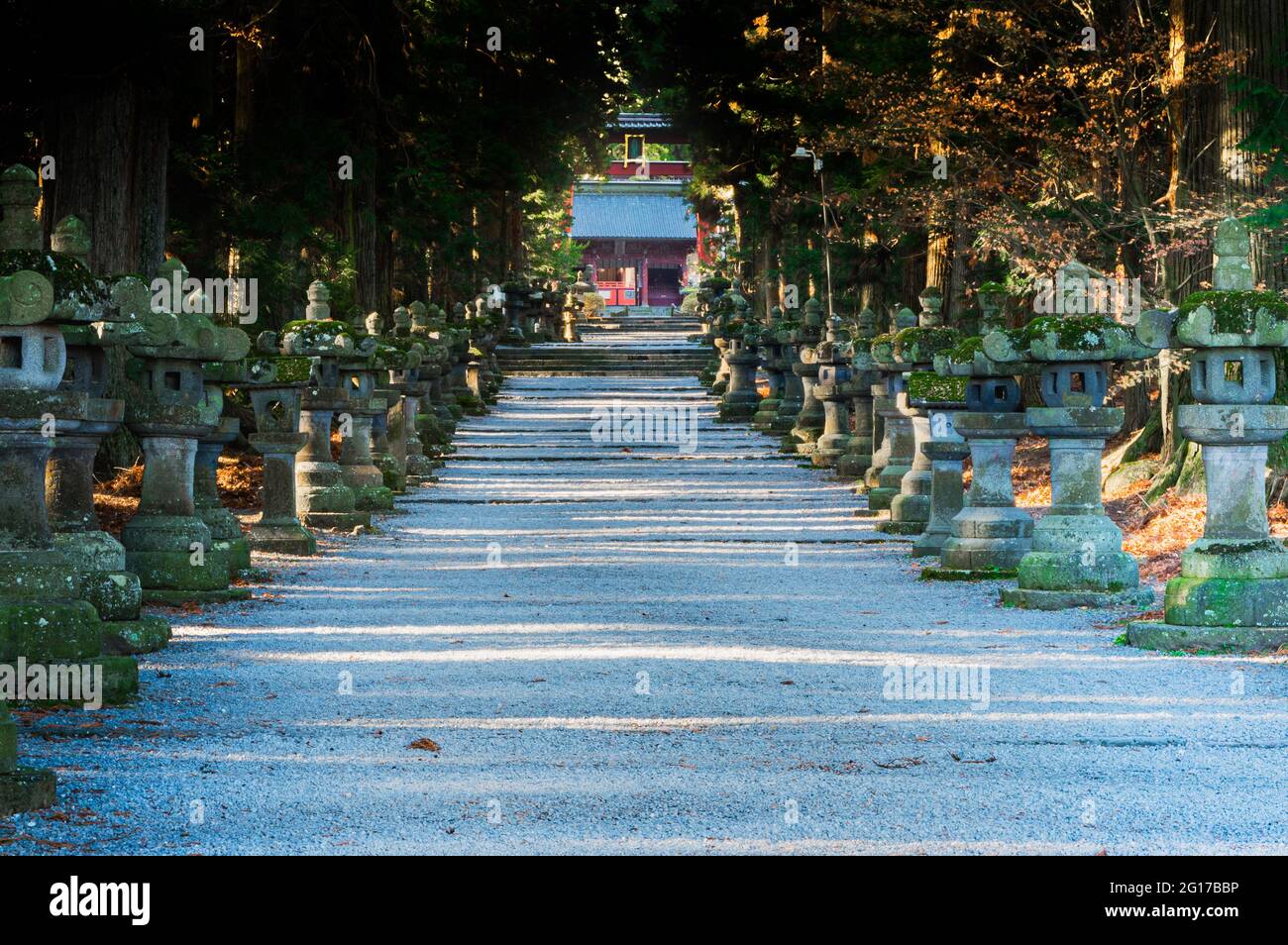 View of the the 275-meter path (903 feet) that is lined with very old ...