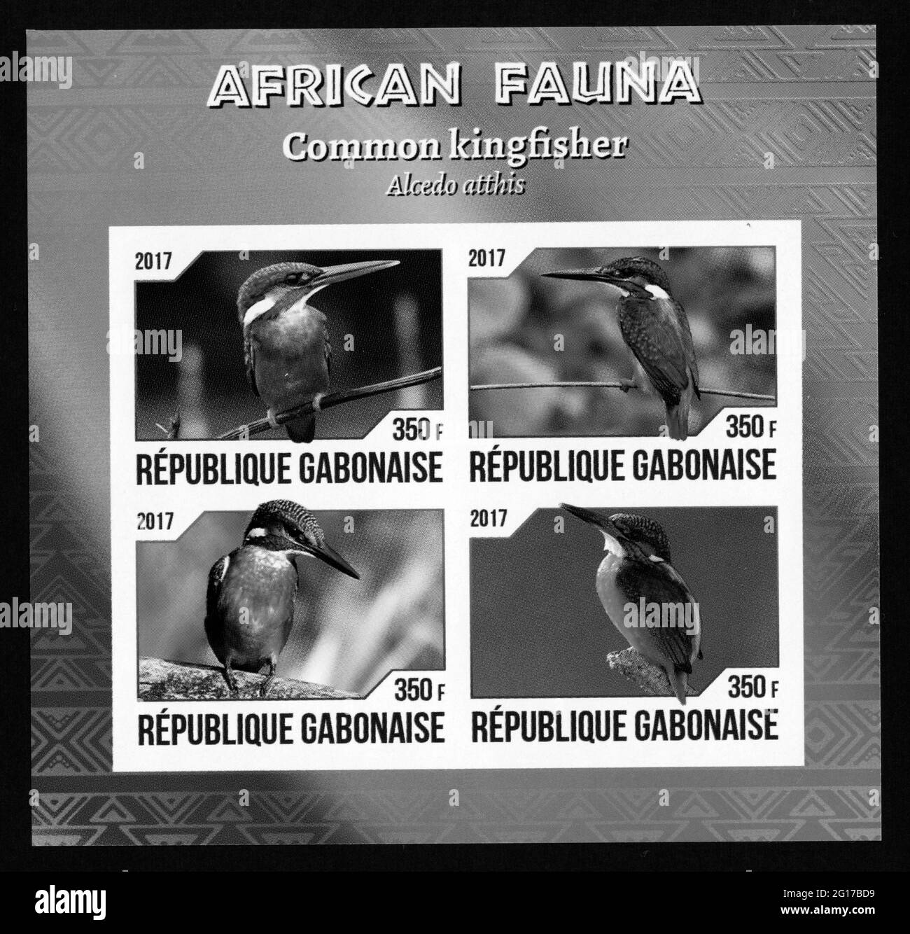 White background gabon Black and White Stock Photos & Images - Alamy