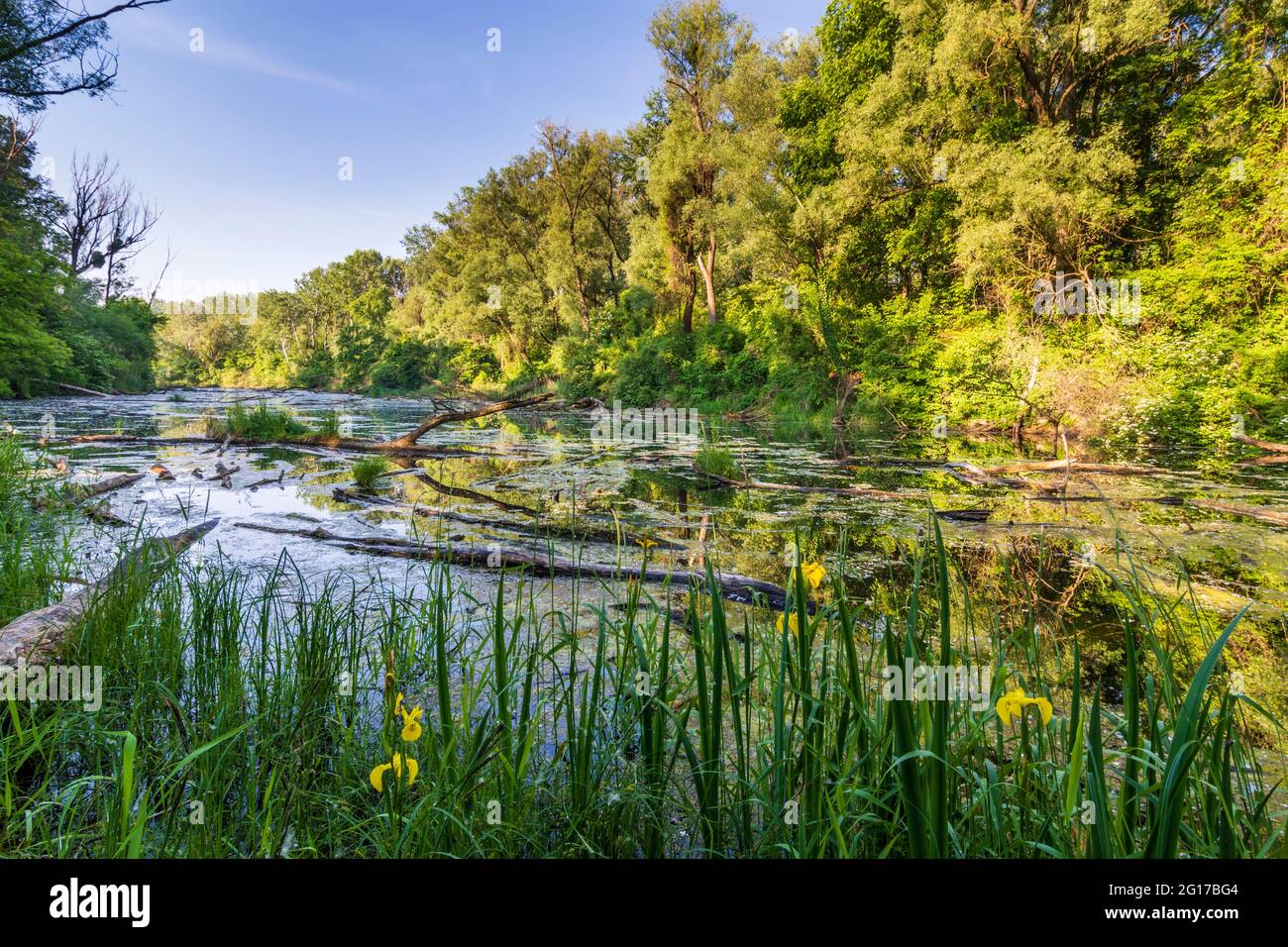 Wien, Vienna: oxbow lake of river Donau (Danube), island Donauinsel ...