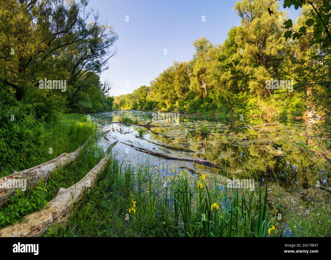 Wien, Vienna: oxbow lake of river Donau (Danube), island Donauinsel ...