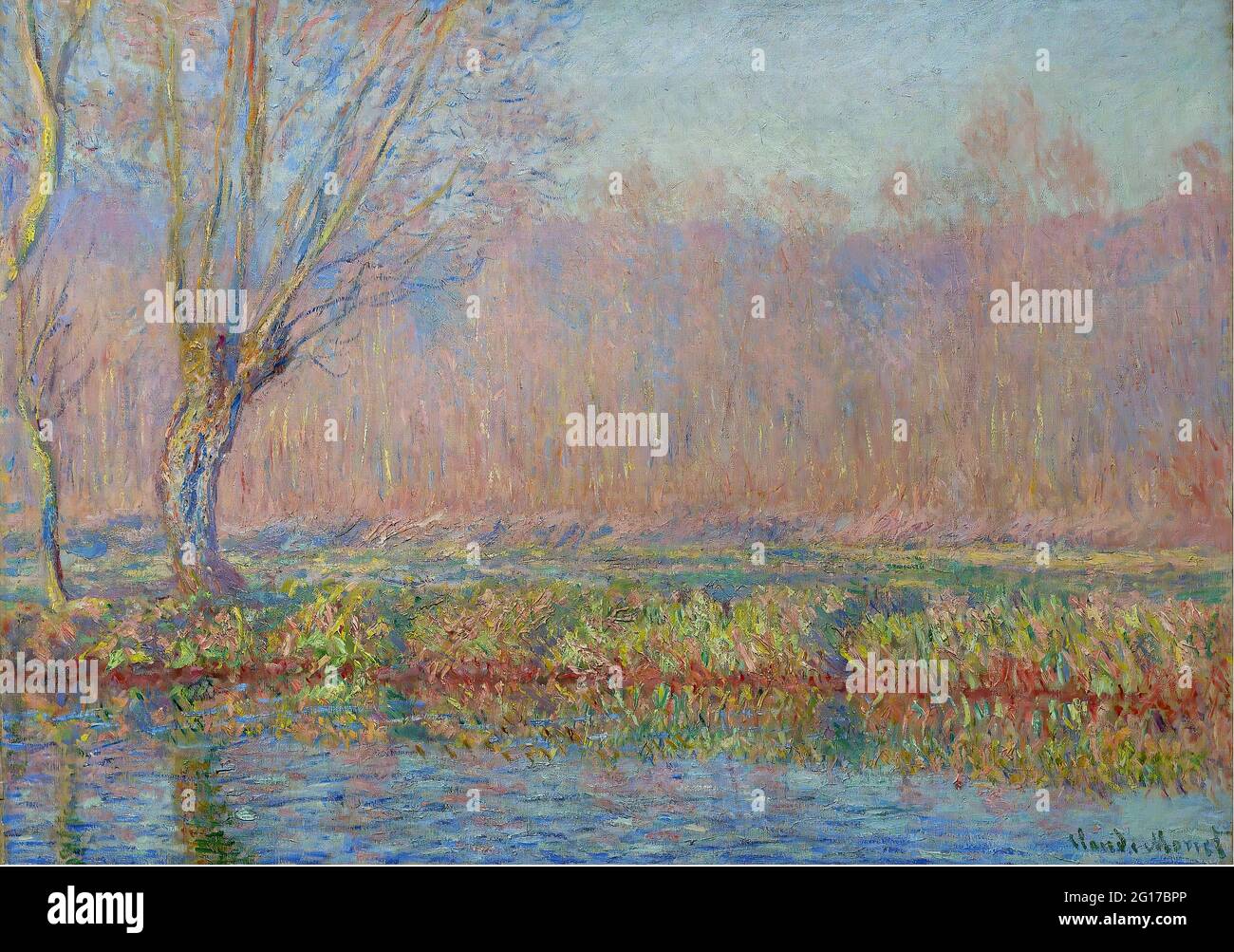 Claude Monet - the Willow Stock Photo - Alamy