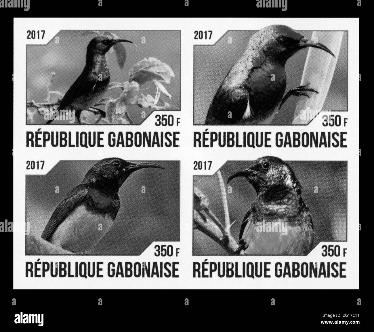 Stamp print in Gabon,birds Stock Photo - Alamy