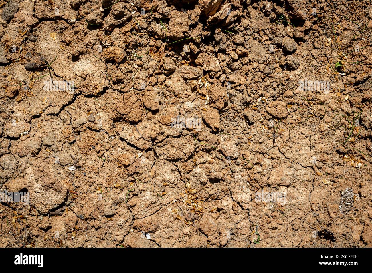 Abstract ground texture with clumps. Soil background Stock Photo - Alamy