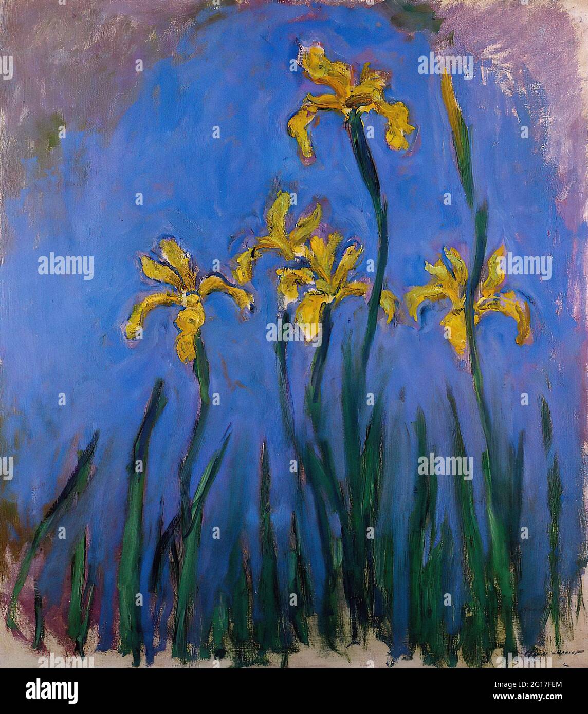 Claude Monet - Yellow Irises 1917 Db101 1917 Stock Photo - Alamy