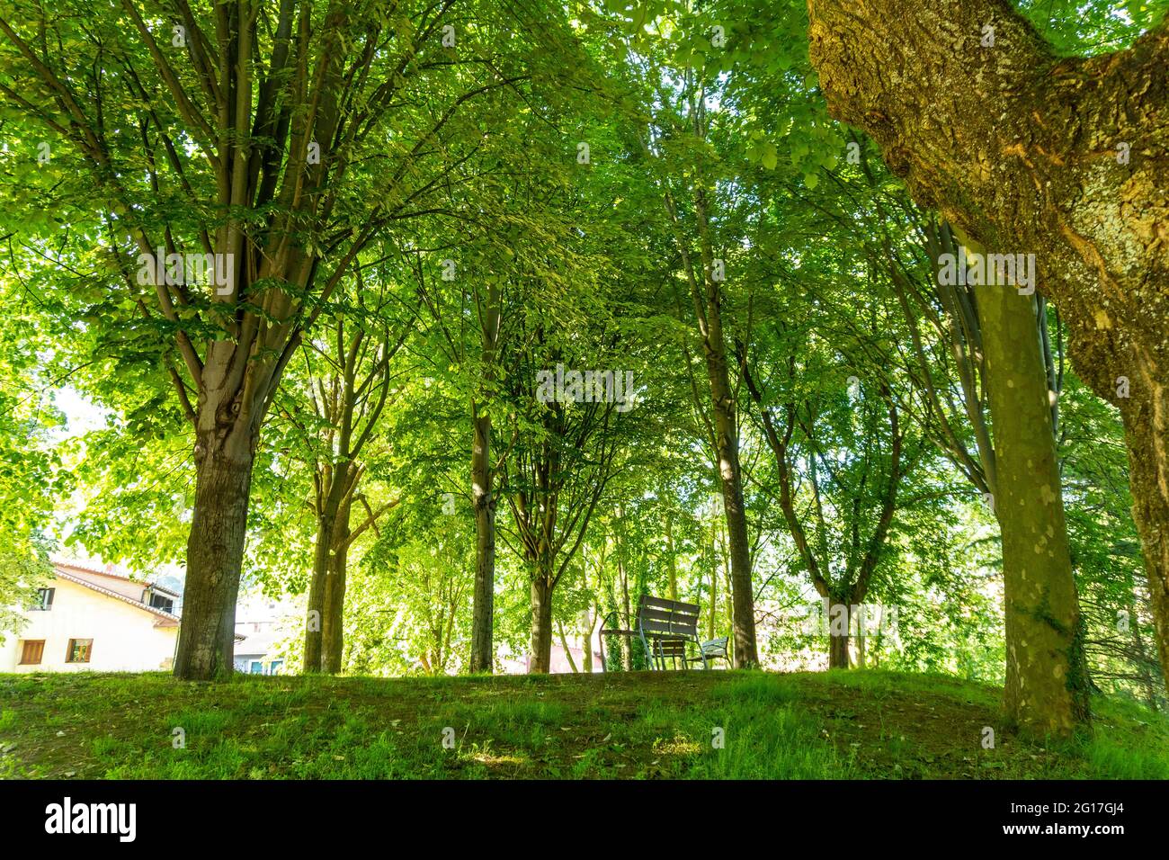 Low angle shot of a public park in the Lezo municipality in Spain Stock ...