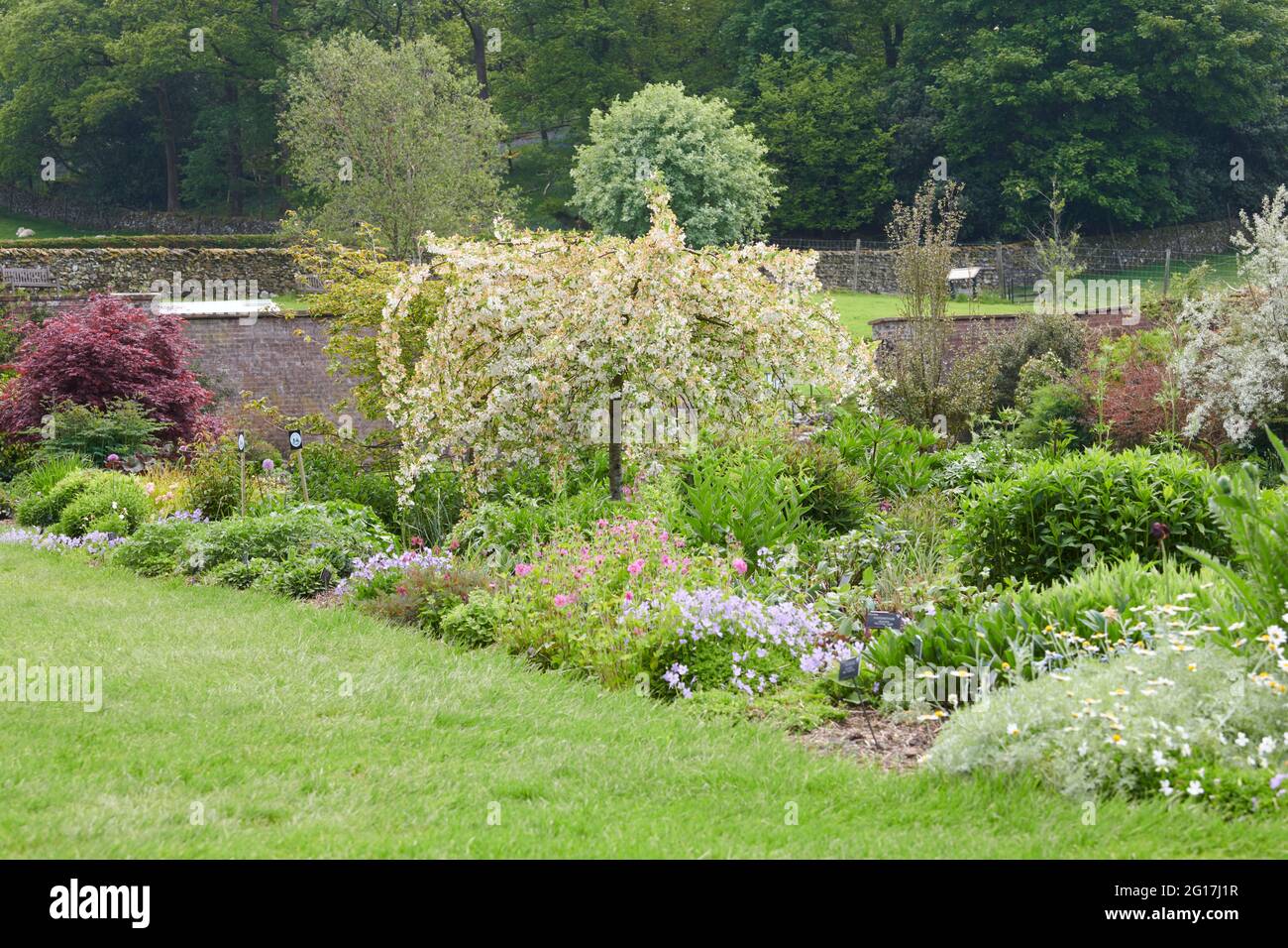 Stunning views of herbaceous borders in the Lake District Uk, GB Stock ...