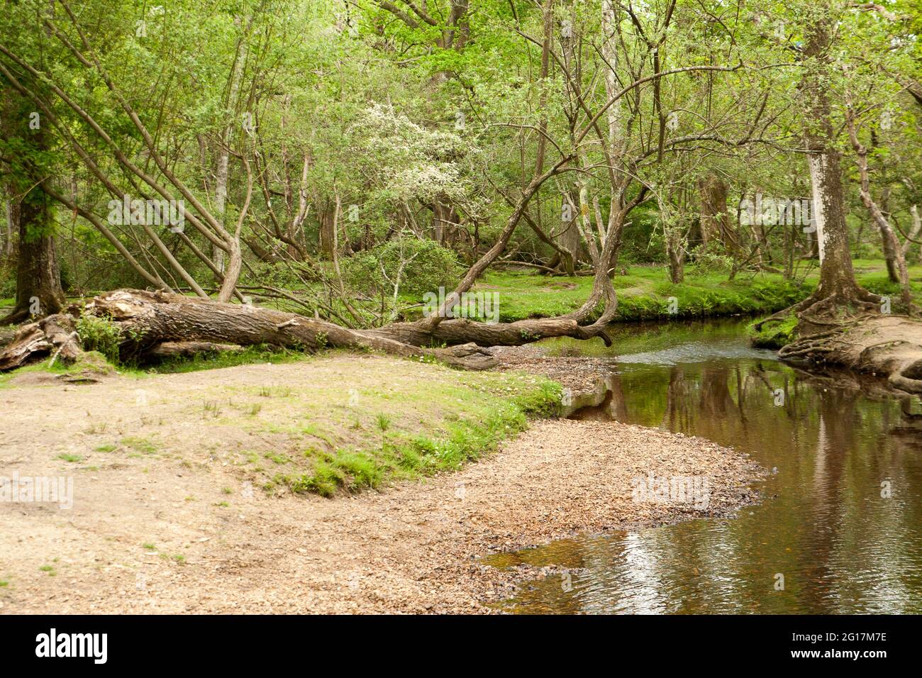 Puttles Bridge New Forest Stock Photo - Alamy