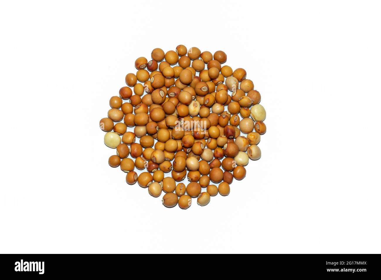 Goa bean seed hi-res stock photography and images - Alamy