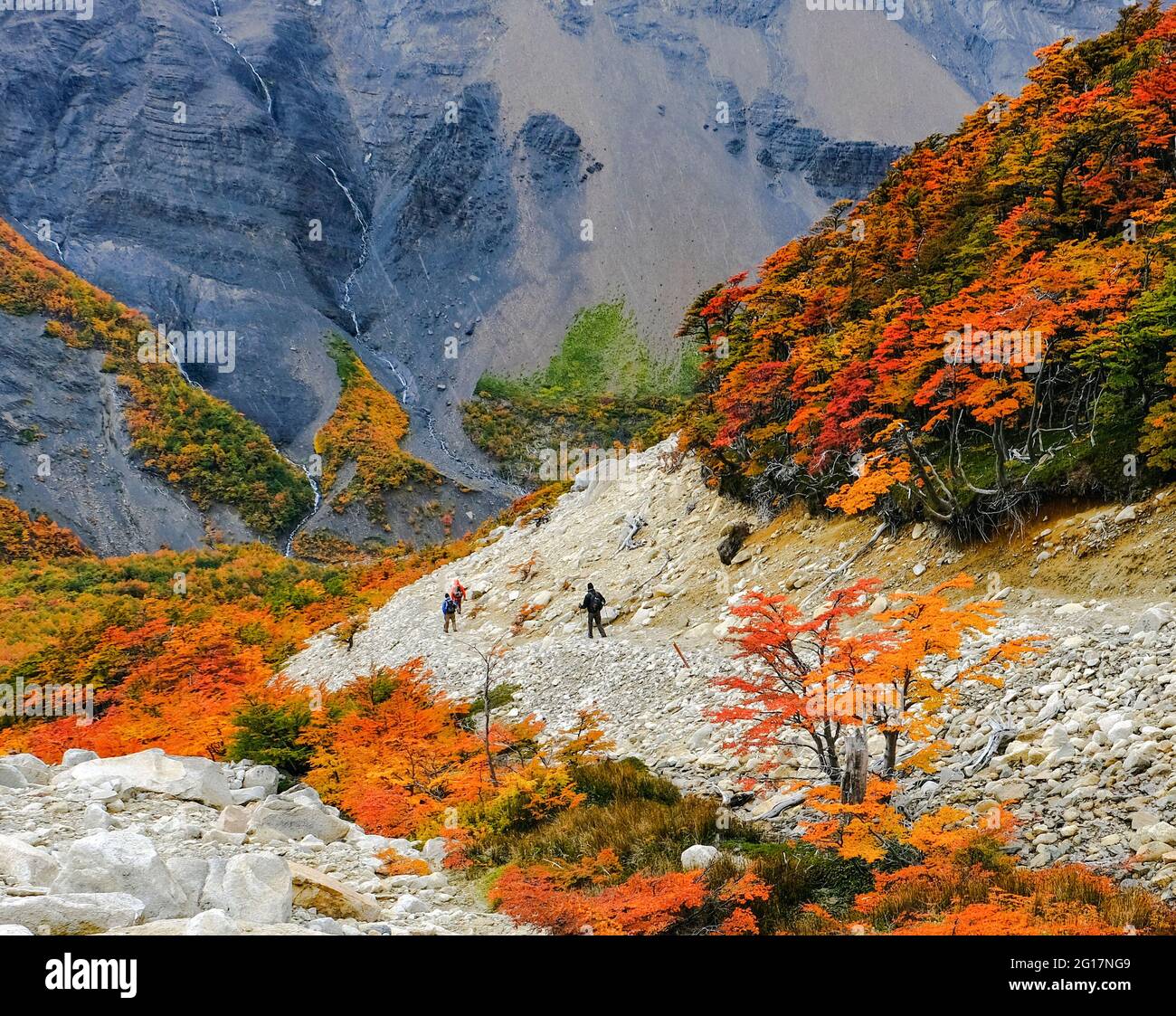South America-Patagonia- Chile and Argentina. Views of Fitz Roy, Torres ...