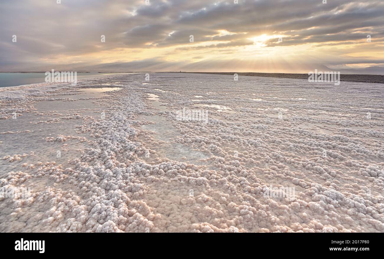Crystalline white salt beach lit by morning sun, small puddles with ...