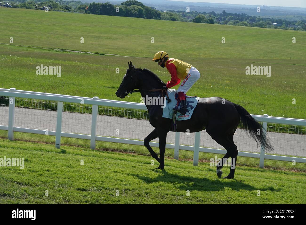 John leeper horse hi-res stock photography and images - Alamy