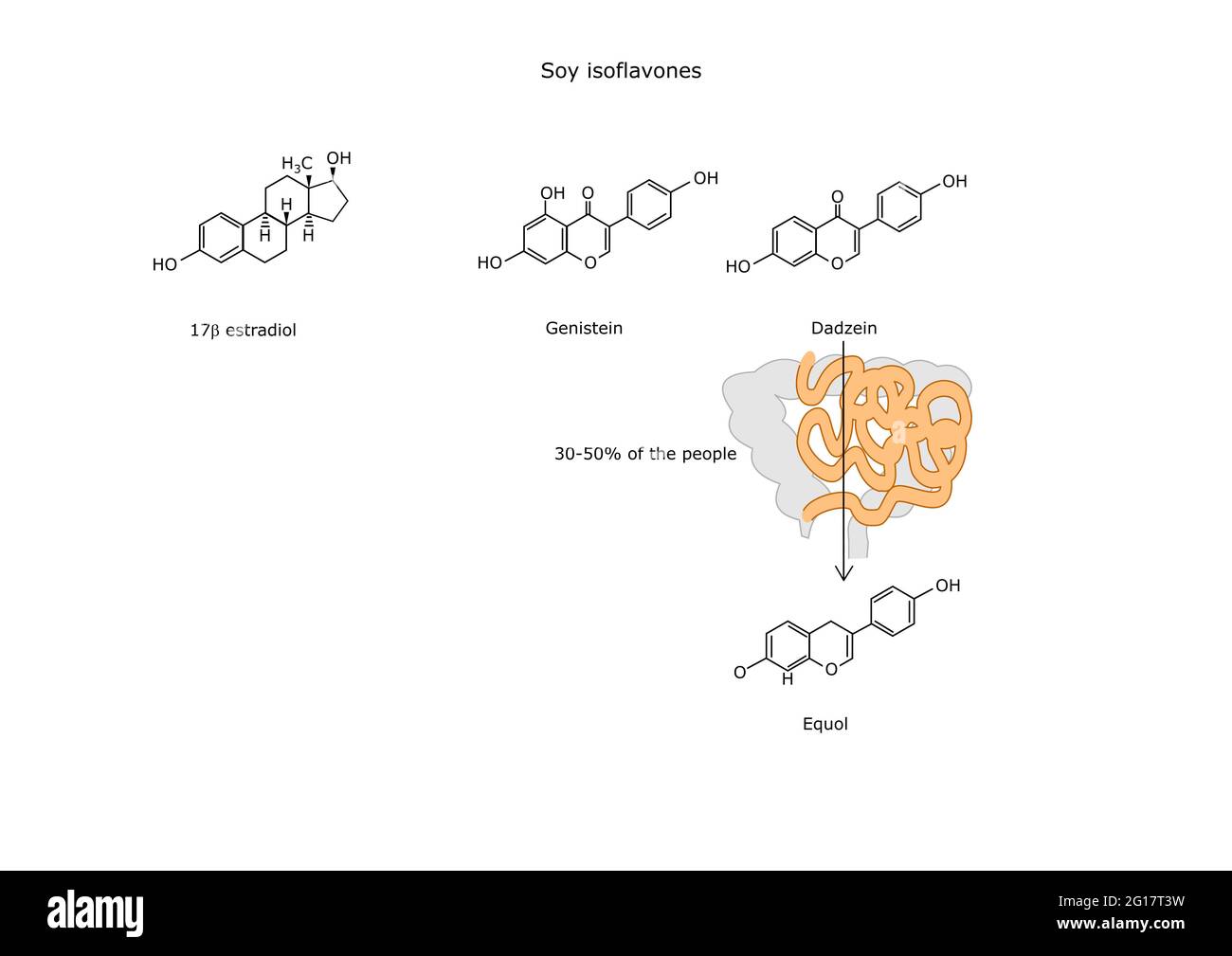 Soy formula hi-res stock photography and images - Alamy