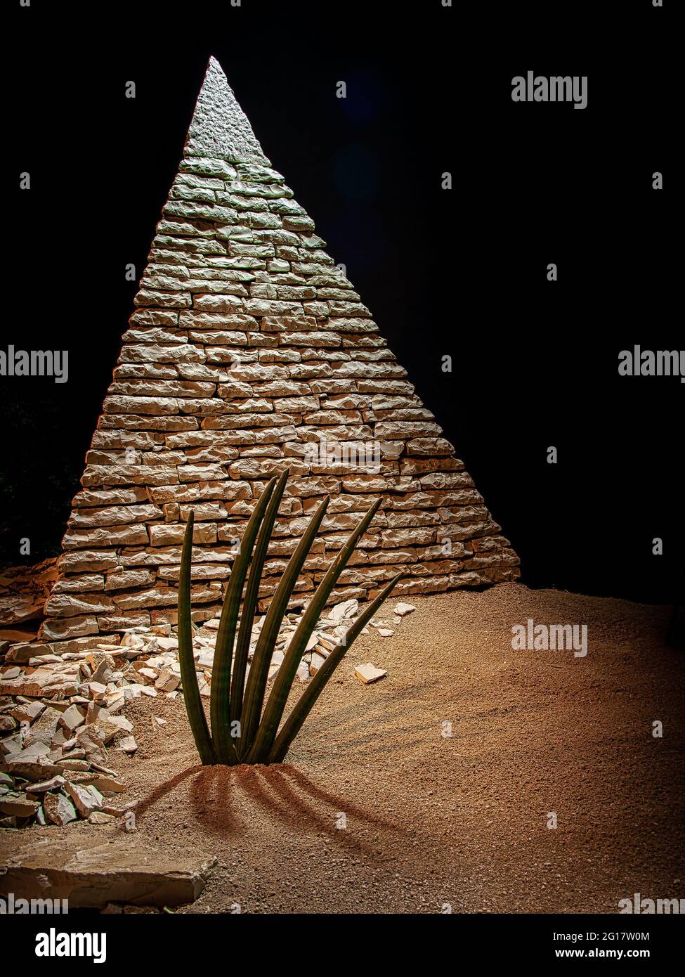 cactus on a bed of sand and pyramid in background image, decorative ...