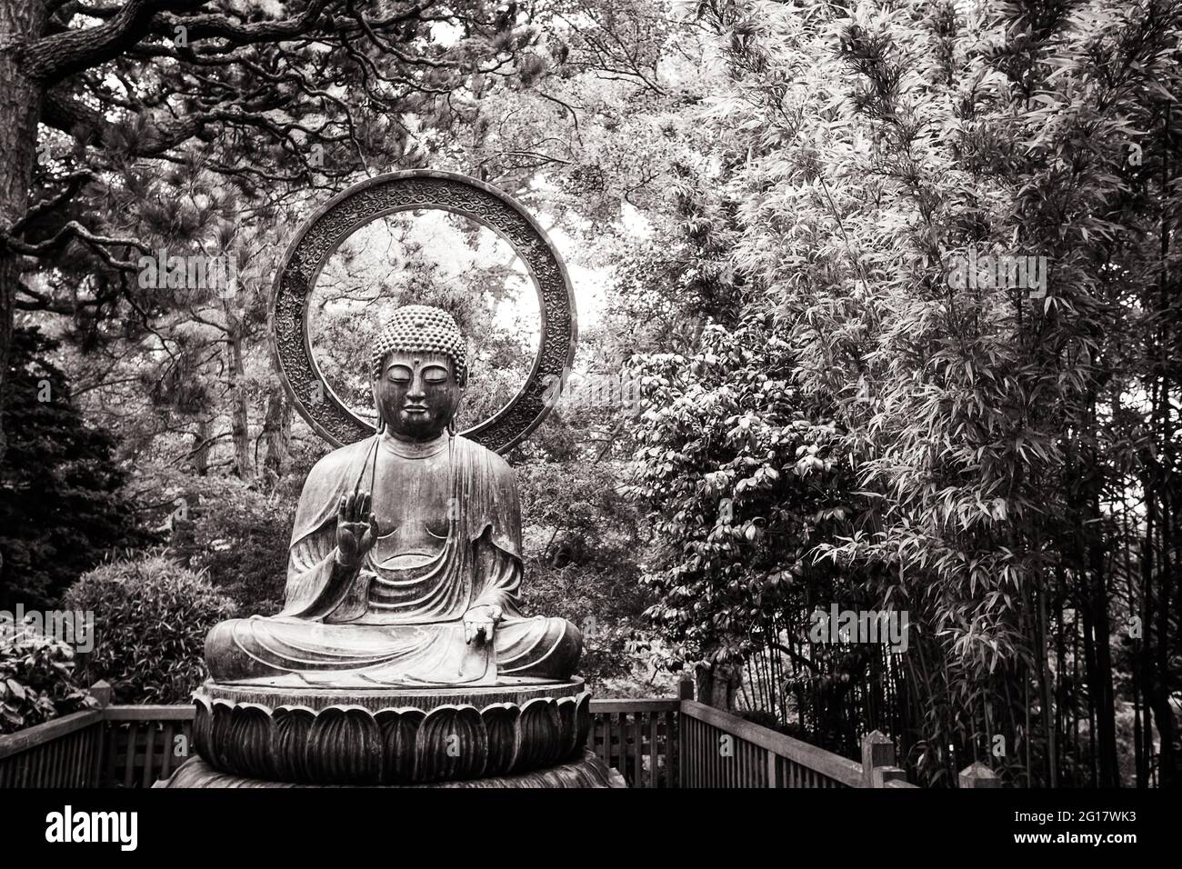 The Buddha Statue in Japanese Tea Garden, San Francisco Stock Photo - Alamy