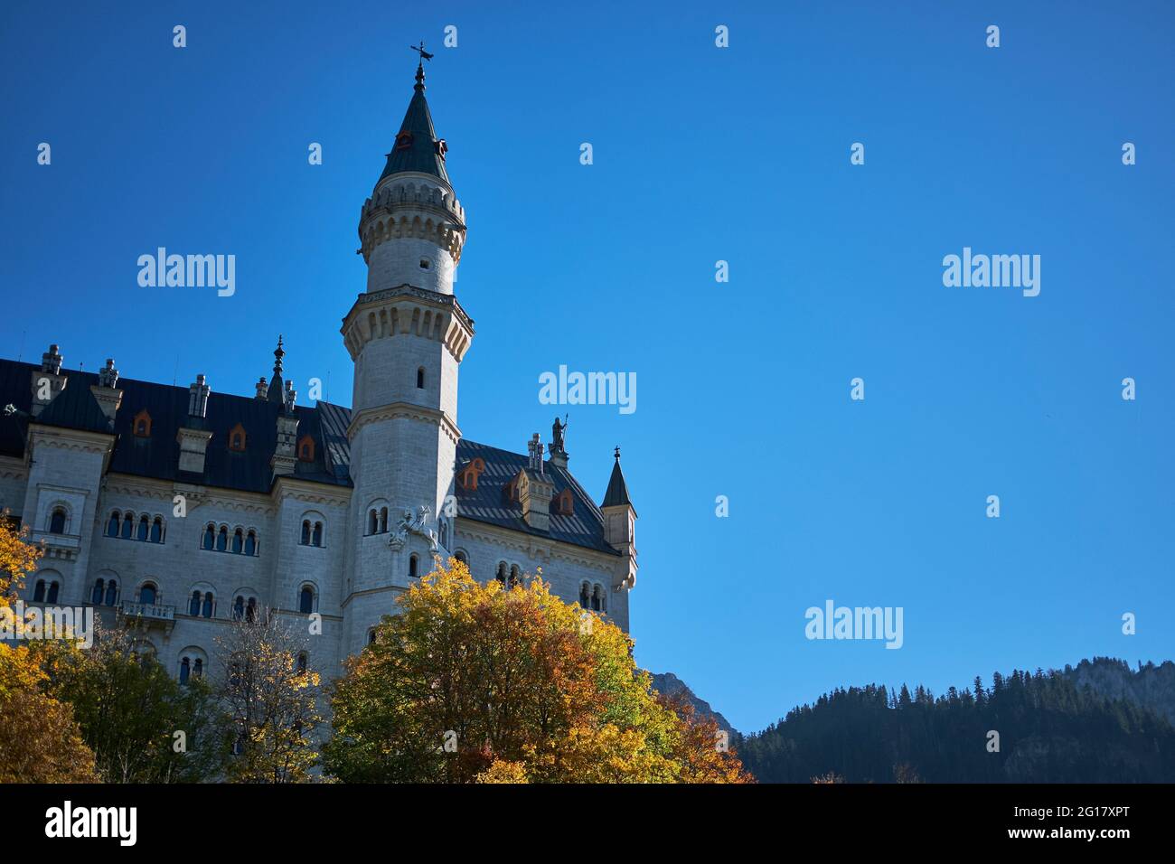 Neuschwanstein castle on mountain side, Bavaria, Germany, Europe, 2017 ...