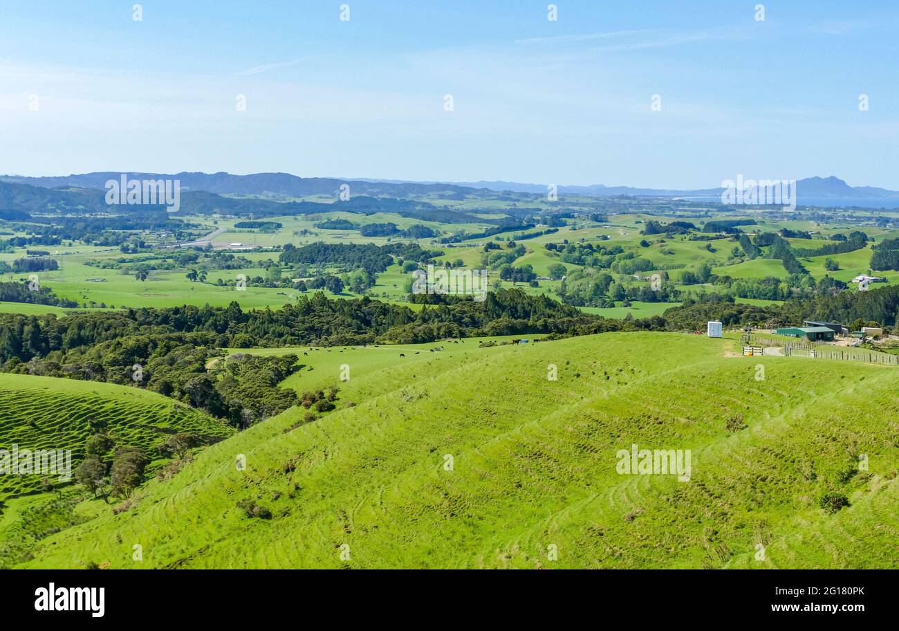 Auckland region hi-res stock photography and images - Alamy