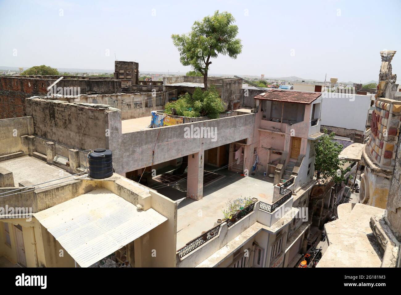 Neem tree historical hi-res stock photography and images - Alamy