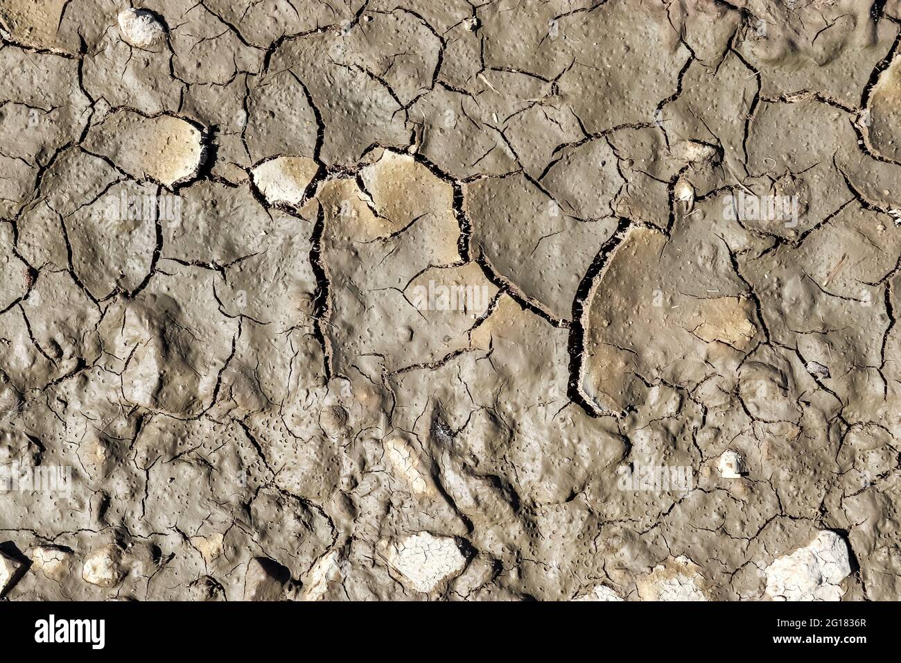 Detailed close up view on dry agricultural grounds and acre in high ...