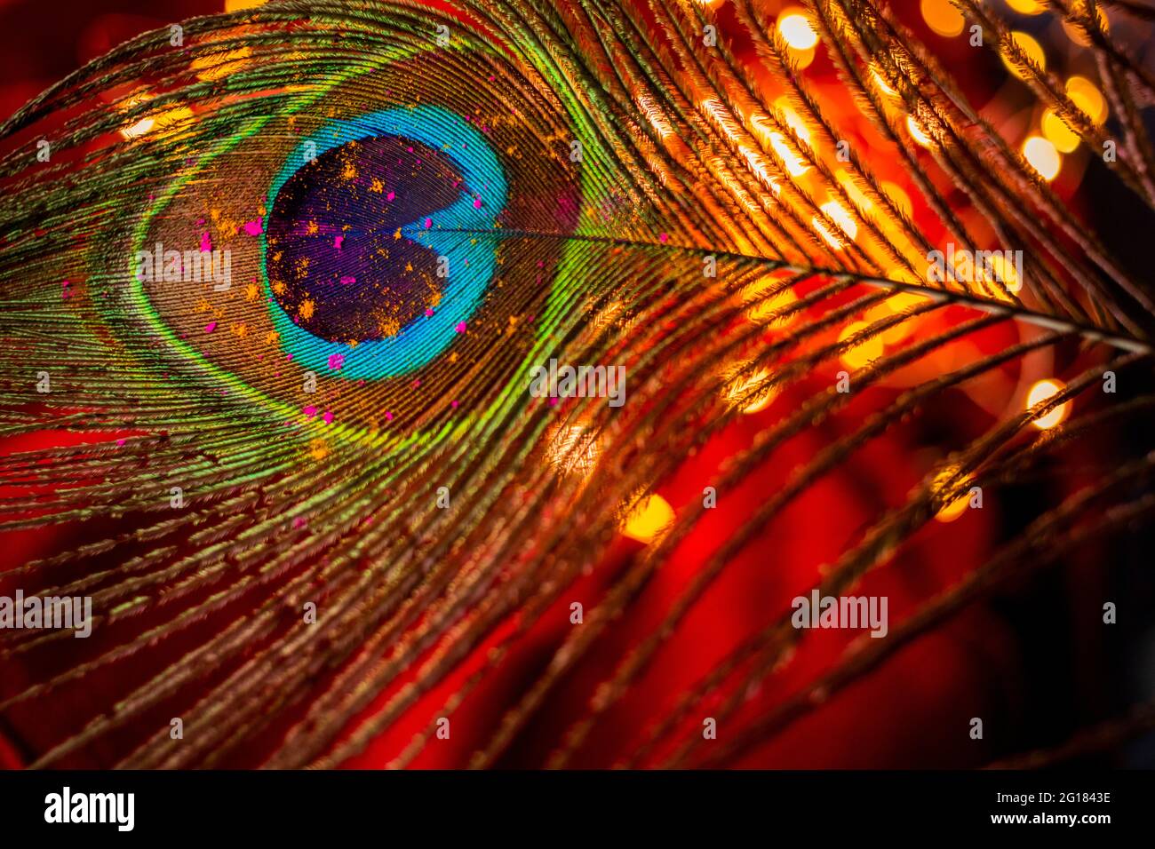 Bansuri With Mor Pankh