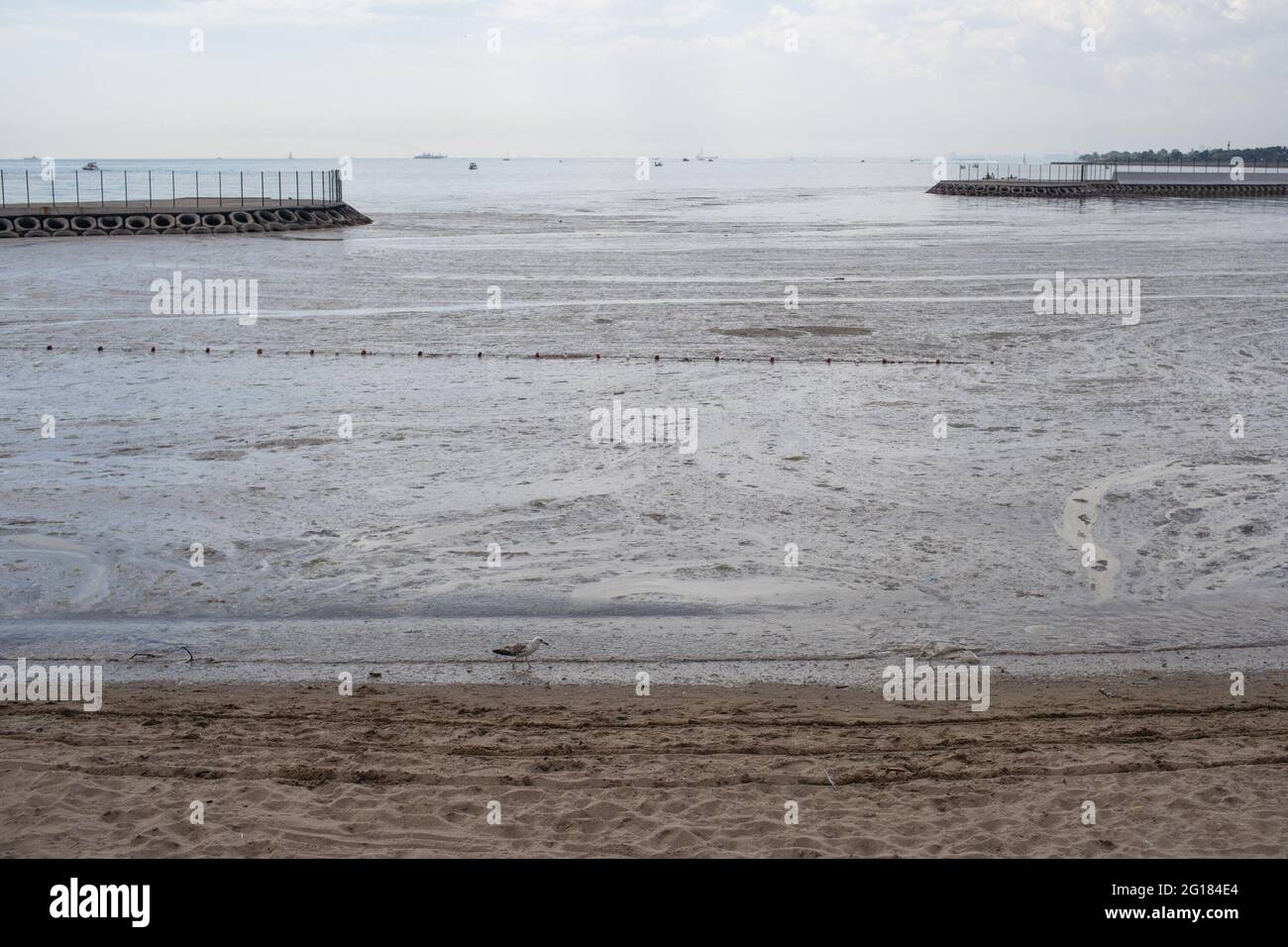 Photo taken on June 5, 2021 shows a mucus-like substance known as sea ...
