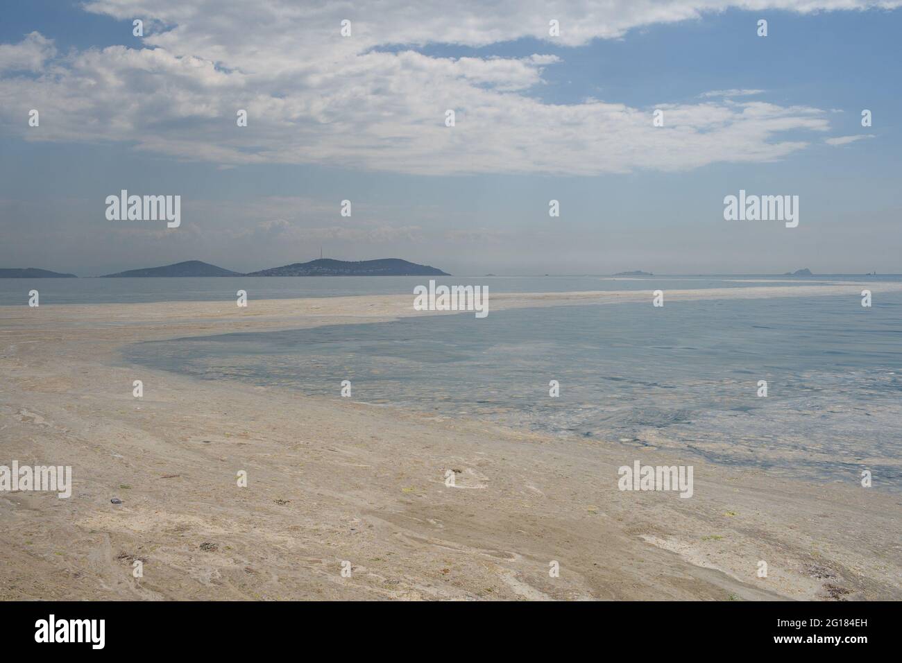 Photo taken on June 5, 2021 shows a mucus-like substance known as sea ...