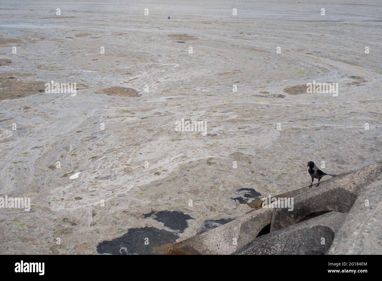Photo taken on June 5, 2021 shows a mucus-like substance known as sea ...