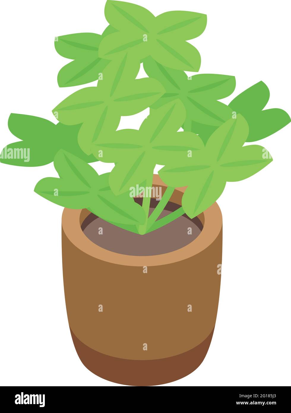 Luck plant pot icon. Isometric of Luck plant pot vector icon for web ...