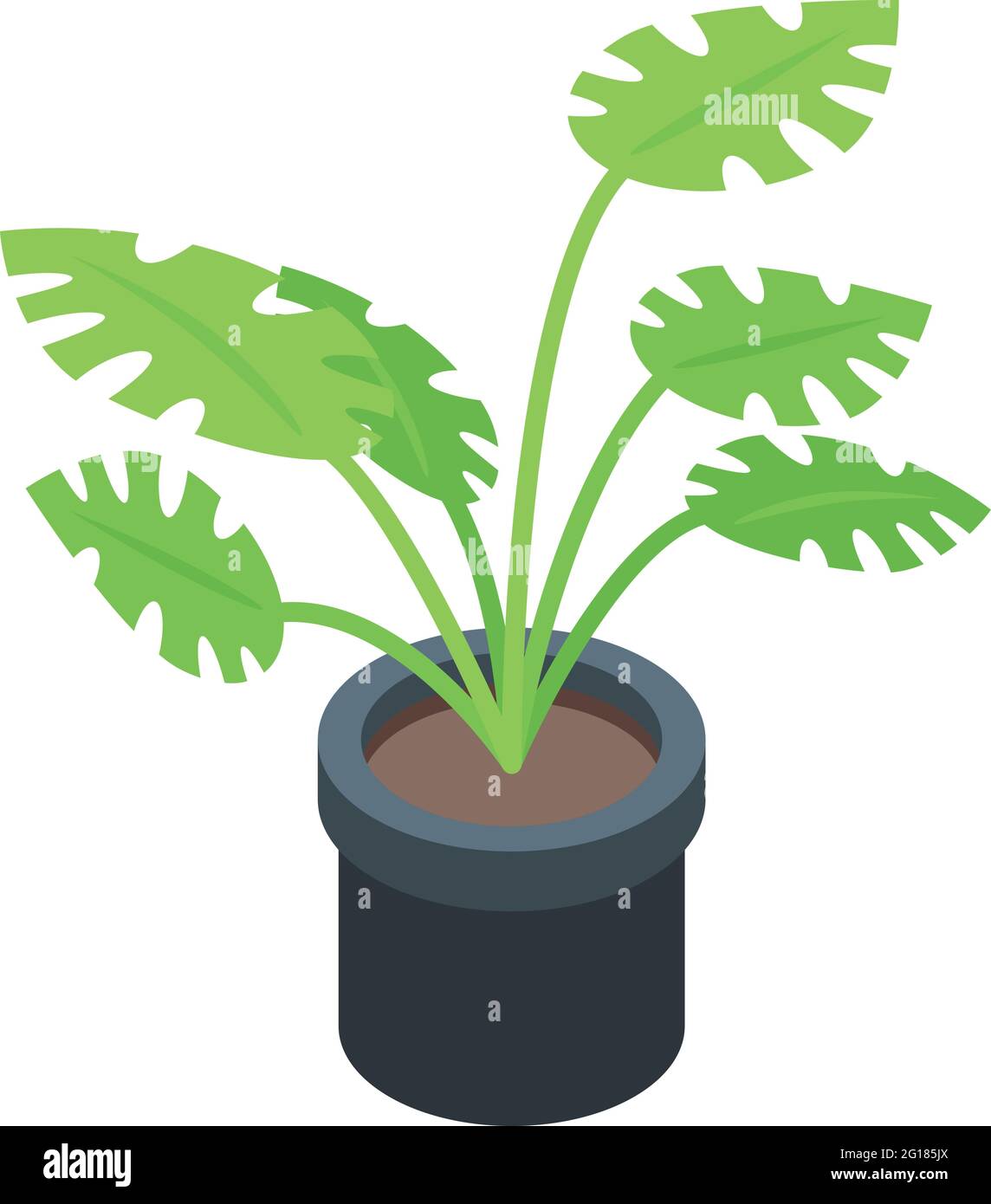 Tropical plant pot icon. Isometric of Tropical plant pot vector icon ...