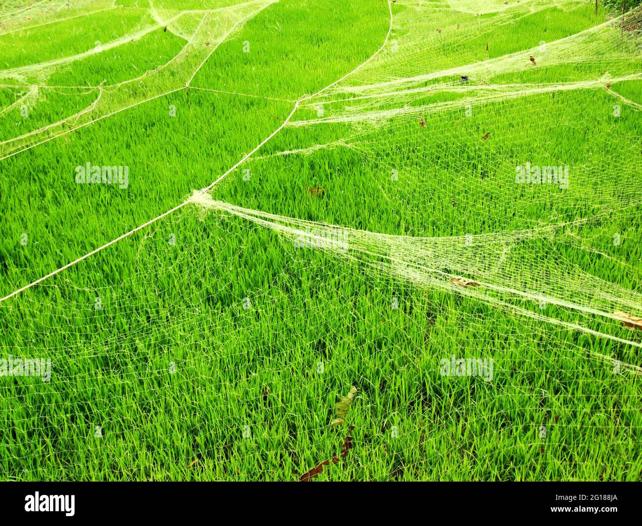 Matlab hi-res stock photography and images - Alamy