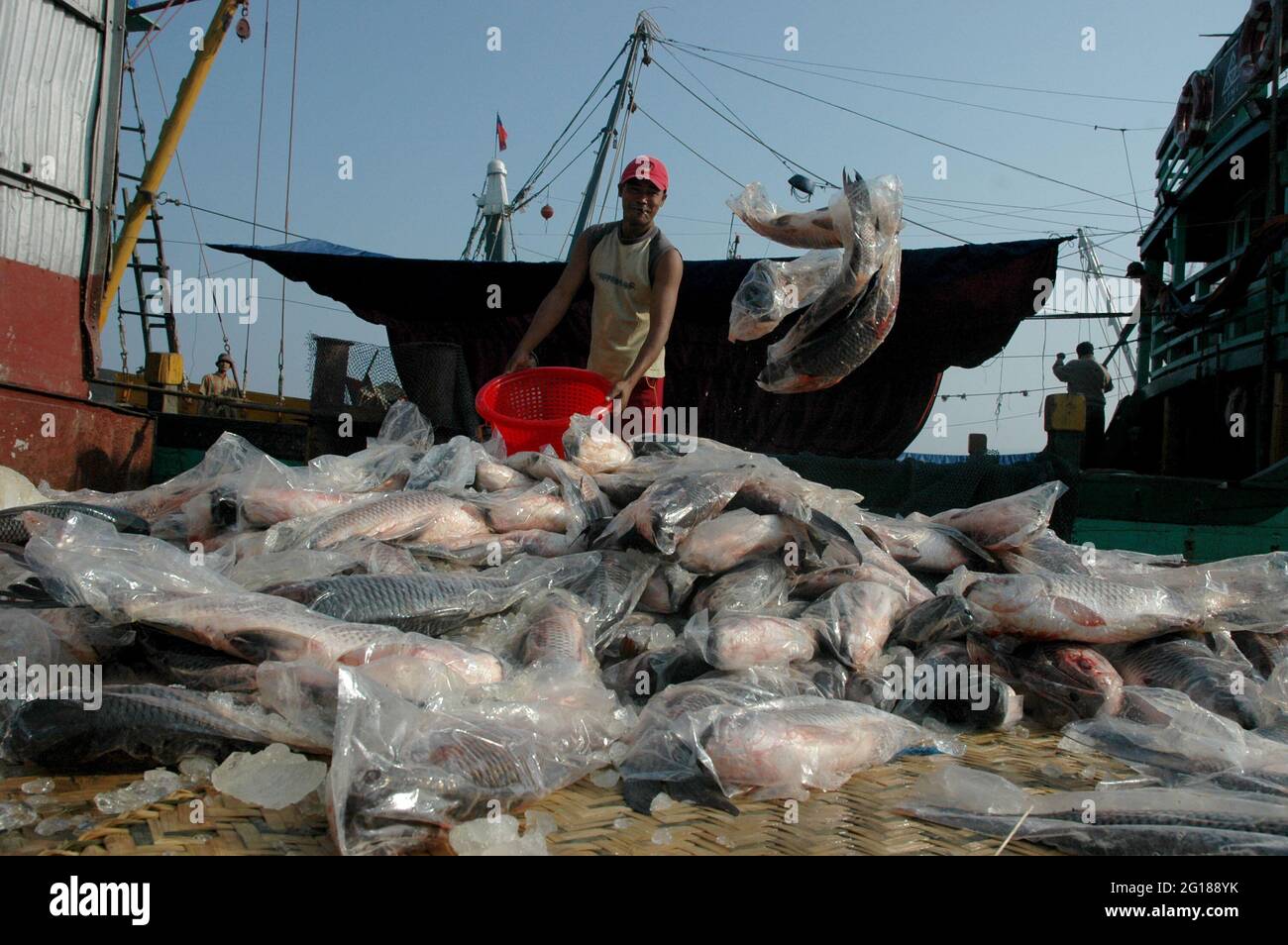 Fisher men unloading fish from a cargo ship at Saint Martin island in ...