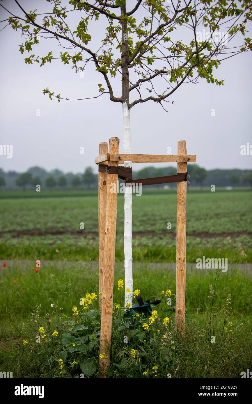 Protection against wind hi-res stock photography and images - Alamy