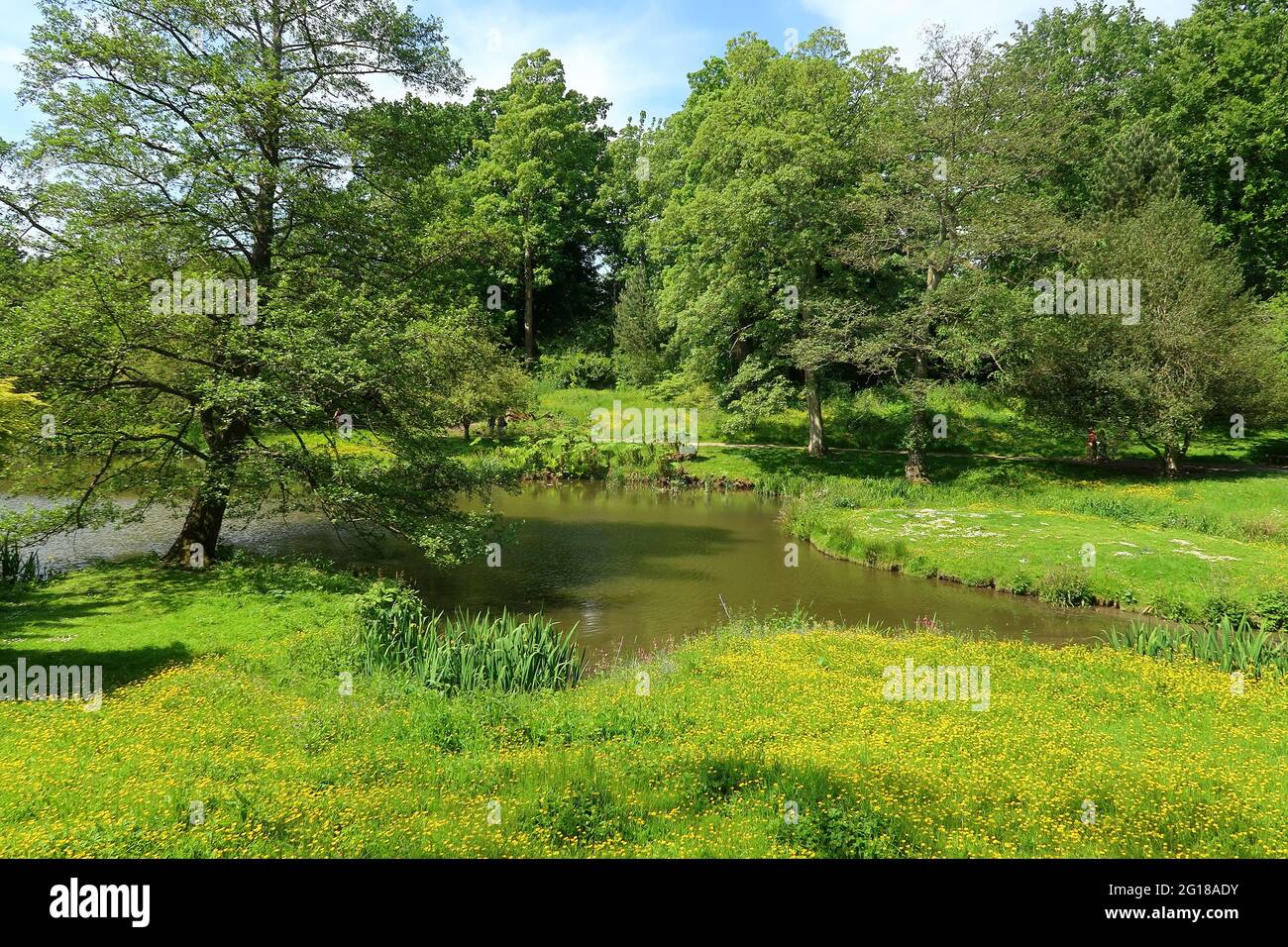 A beautiful woodland lakeside scene in the Kent countryside Stock Photo ...