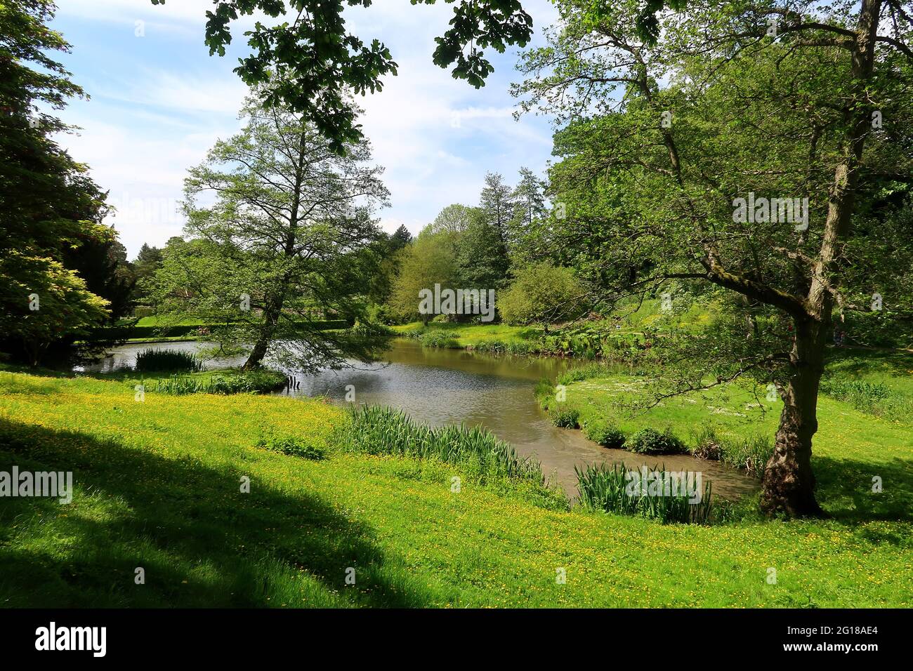 A woodland landscape scene in the Kent countryside Stock Photo - Alamy