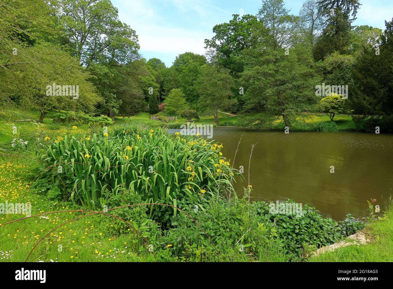 A lakeside scene in the Kent countryside Stock Photo - Alamy