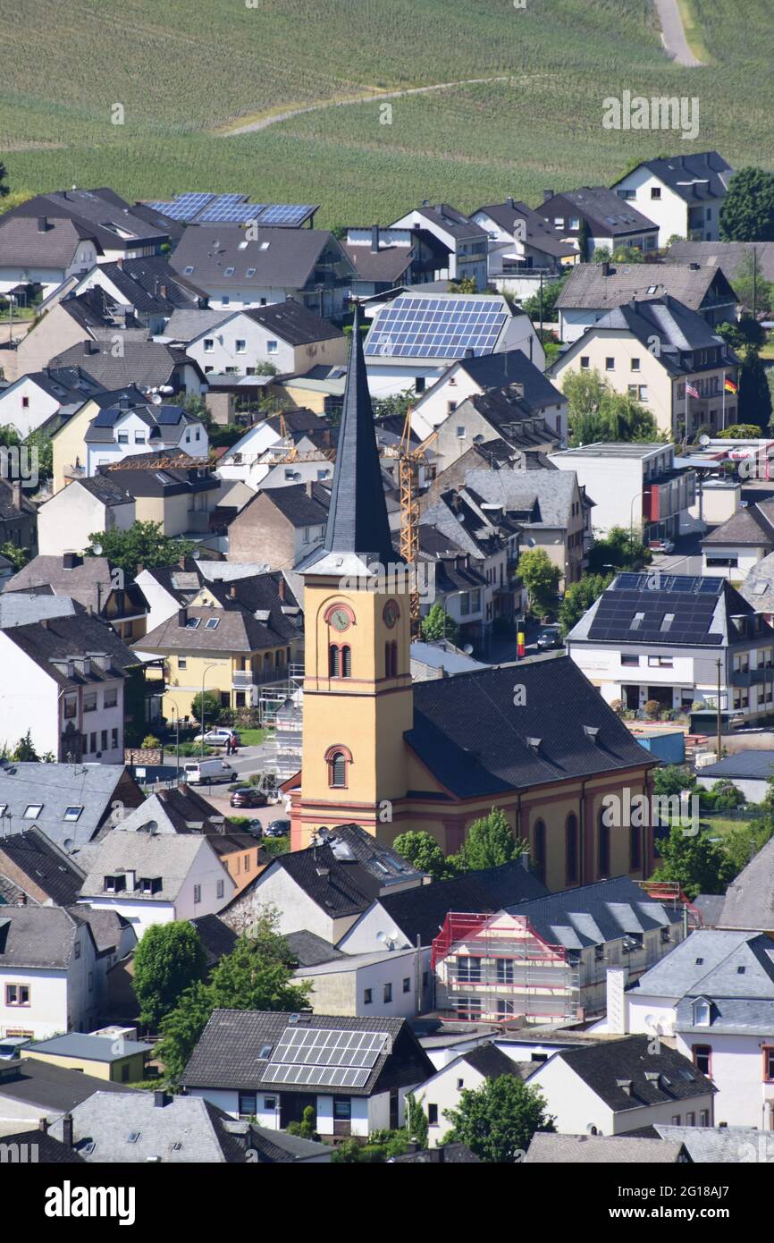 Trittenheim at the Mosel Stock Photo - Alamy
