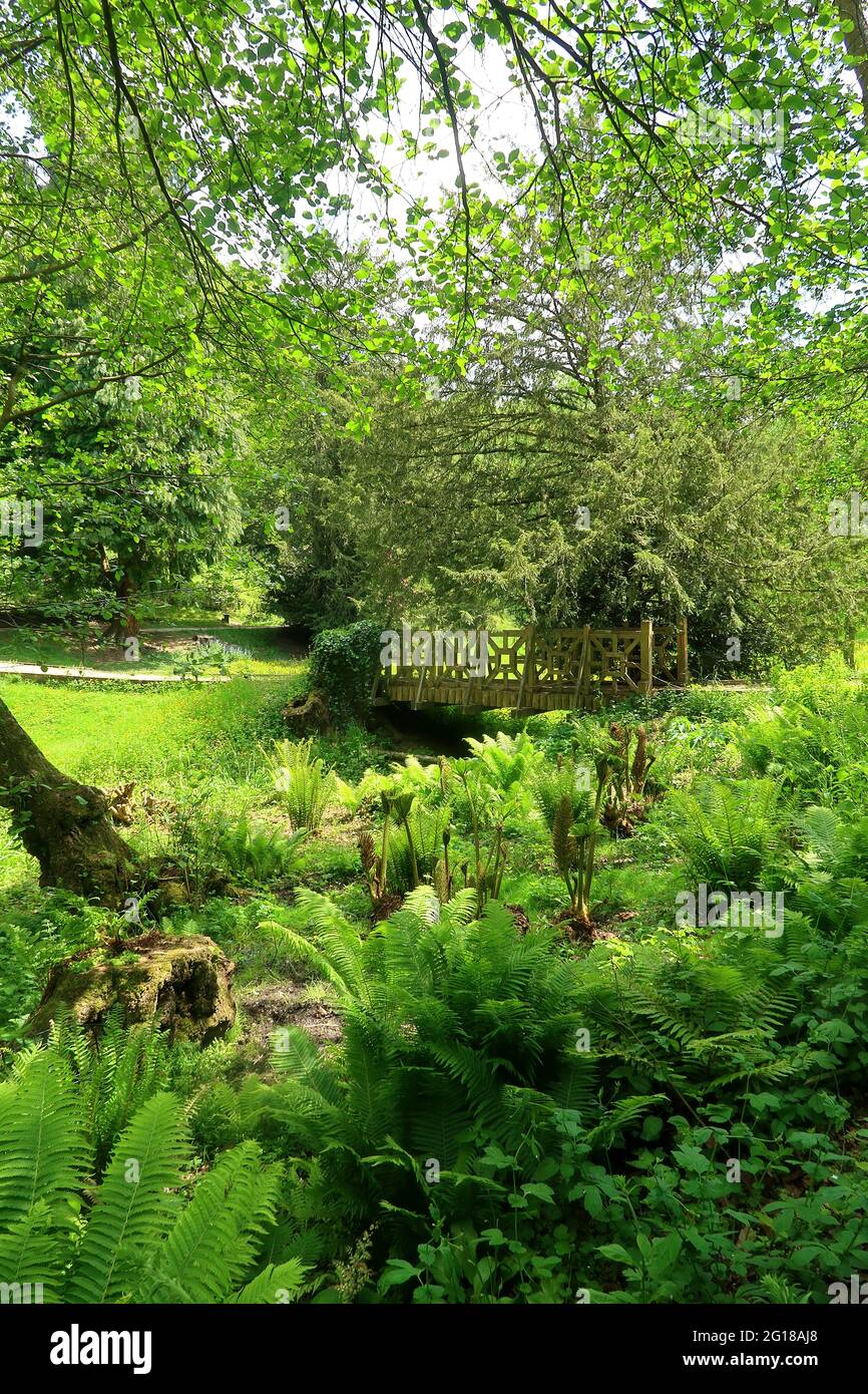 A small wooden bridge in a Kentish Landscape scene Stock Photo - Alamy