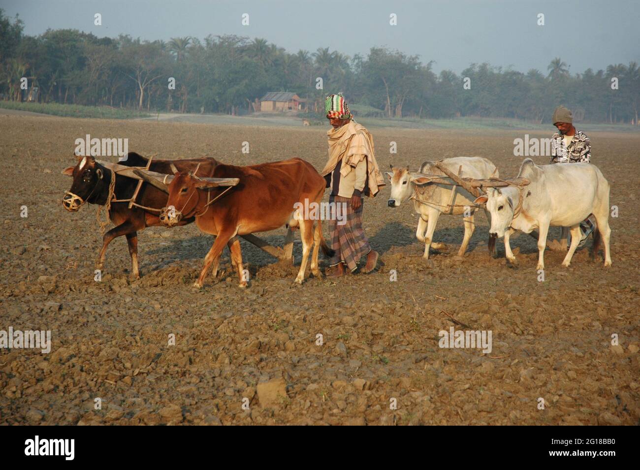 Farmers plough hi-res stock photography and images - Alamy