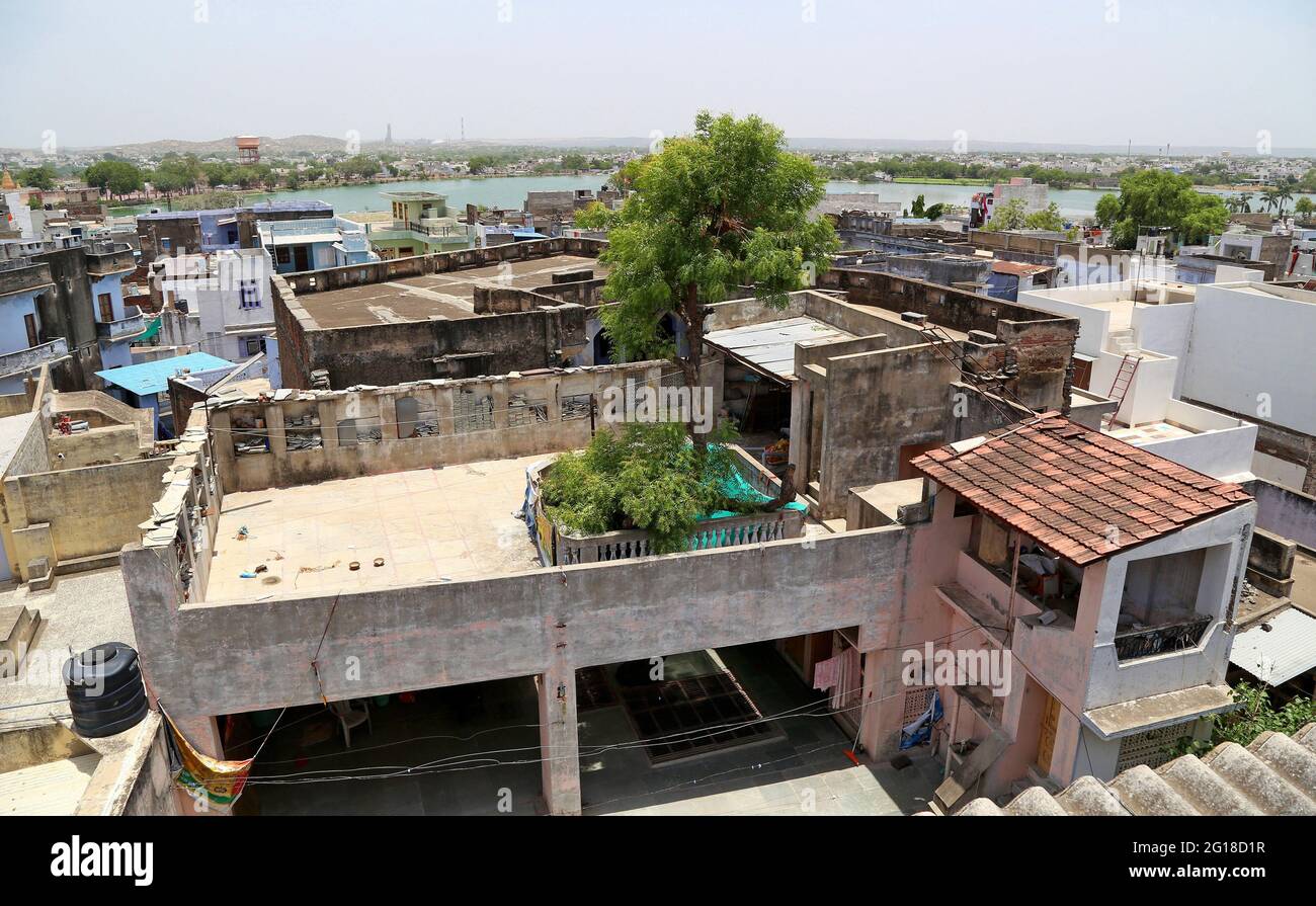 Neem trees hi-res stock photography and images - Alamy