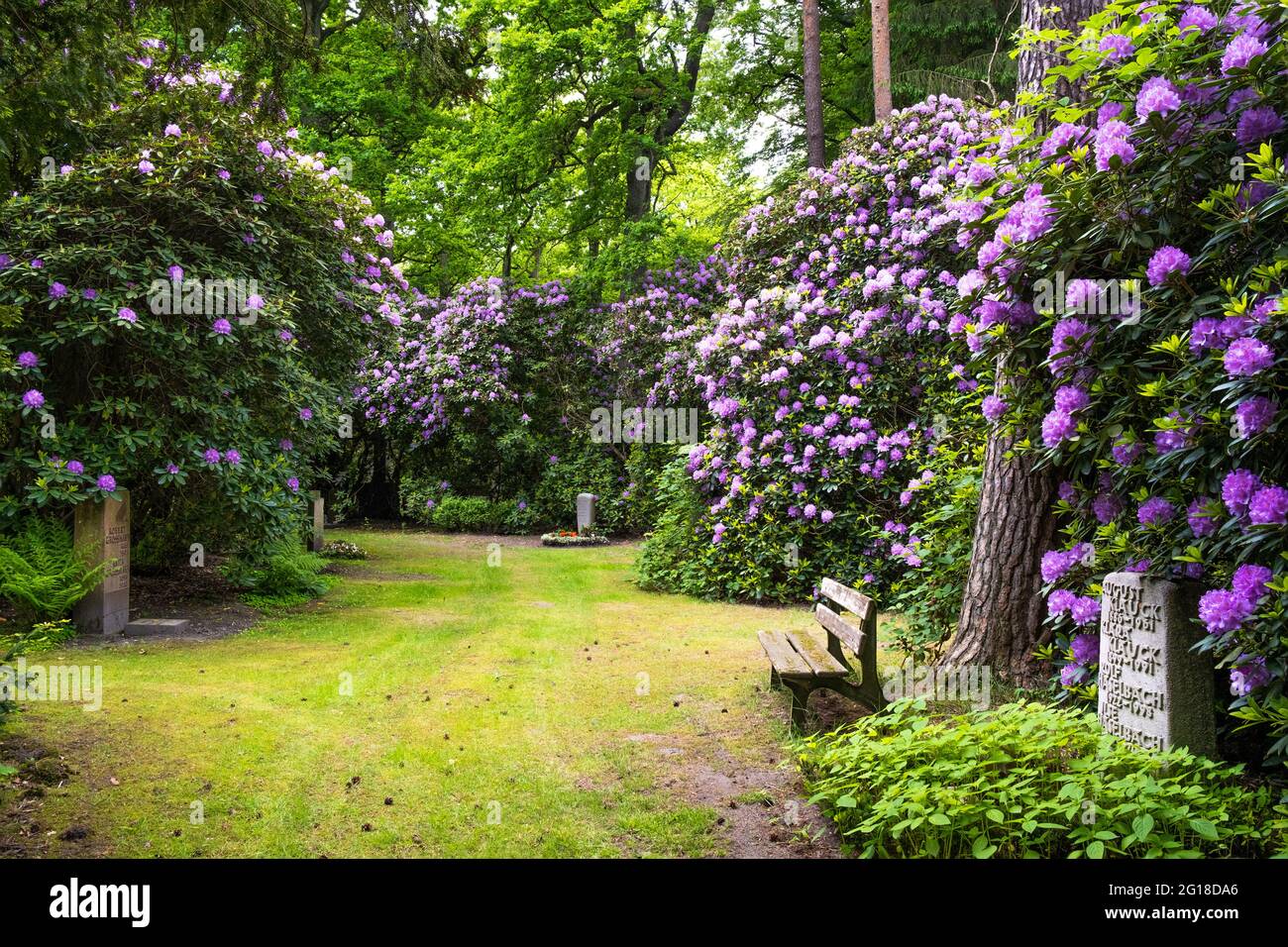 Remote and peaceful part of famous cemetery of Hamburg Ohlsdorf with ...