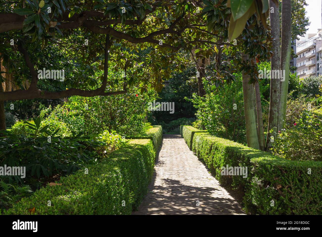 Green footpath in the garden Stock Photo - Alamy