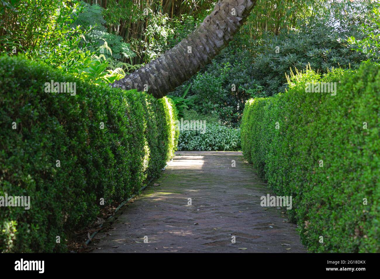 Public garden pathway hi-res stock photography and images - Alamy