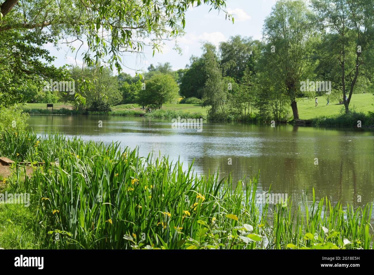 Highwoods colchester essex hi-res stock photography and images - Alamy